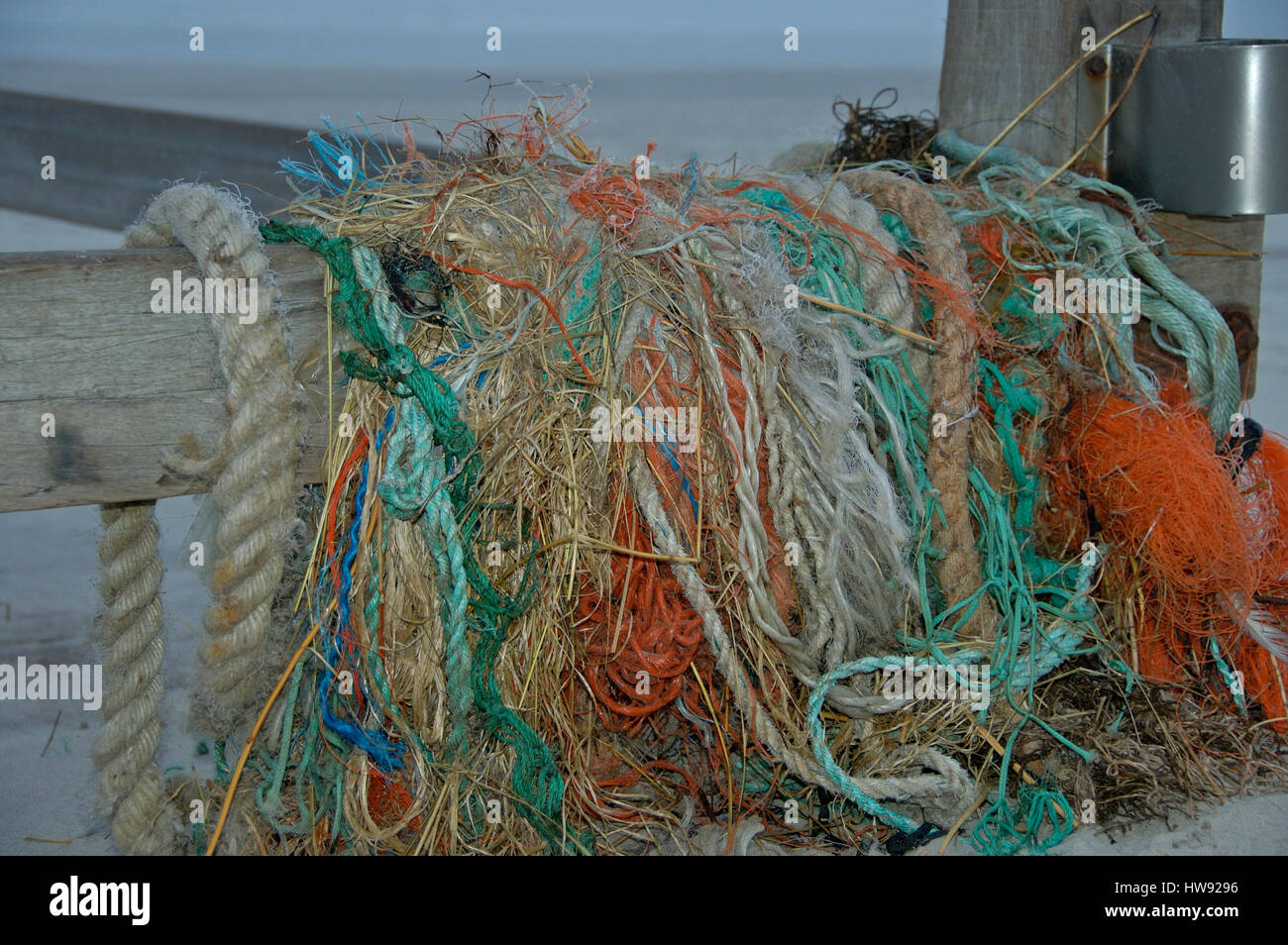 collection rope on the beach in the Netherlands Stock Photo - Alamy