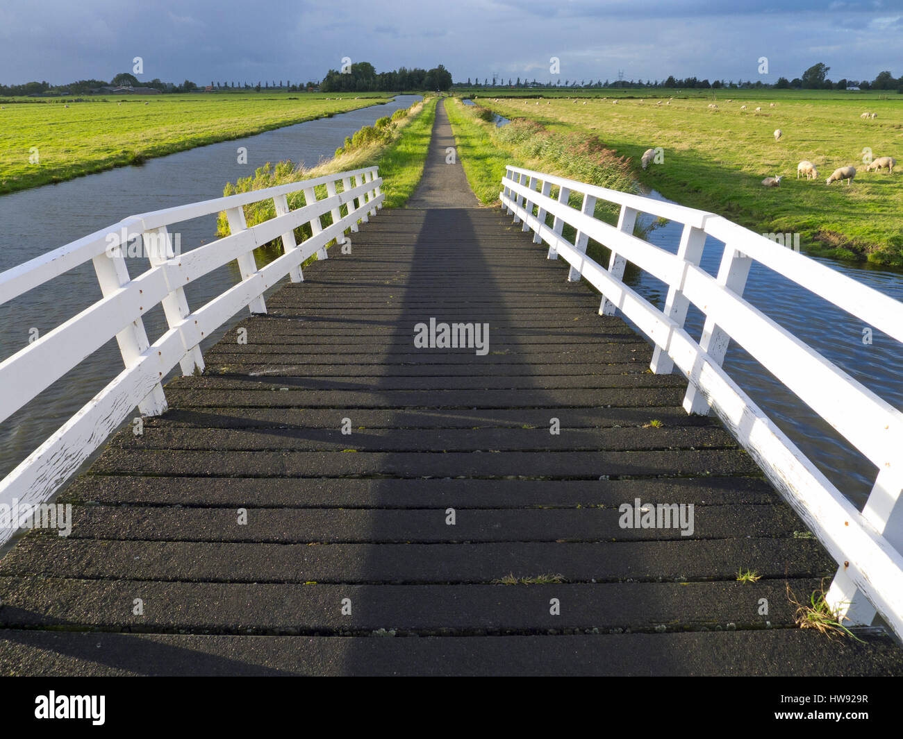 White bridge in green landscape, The Netherlands Stock Photo - Alamy
