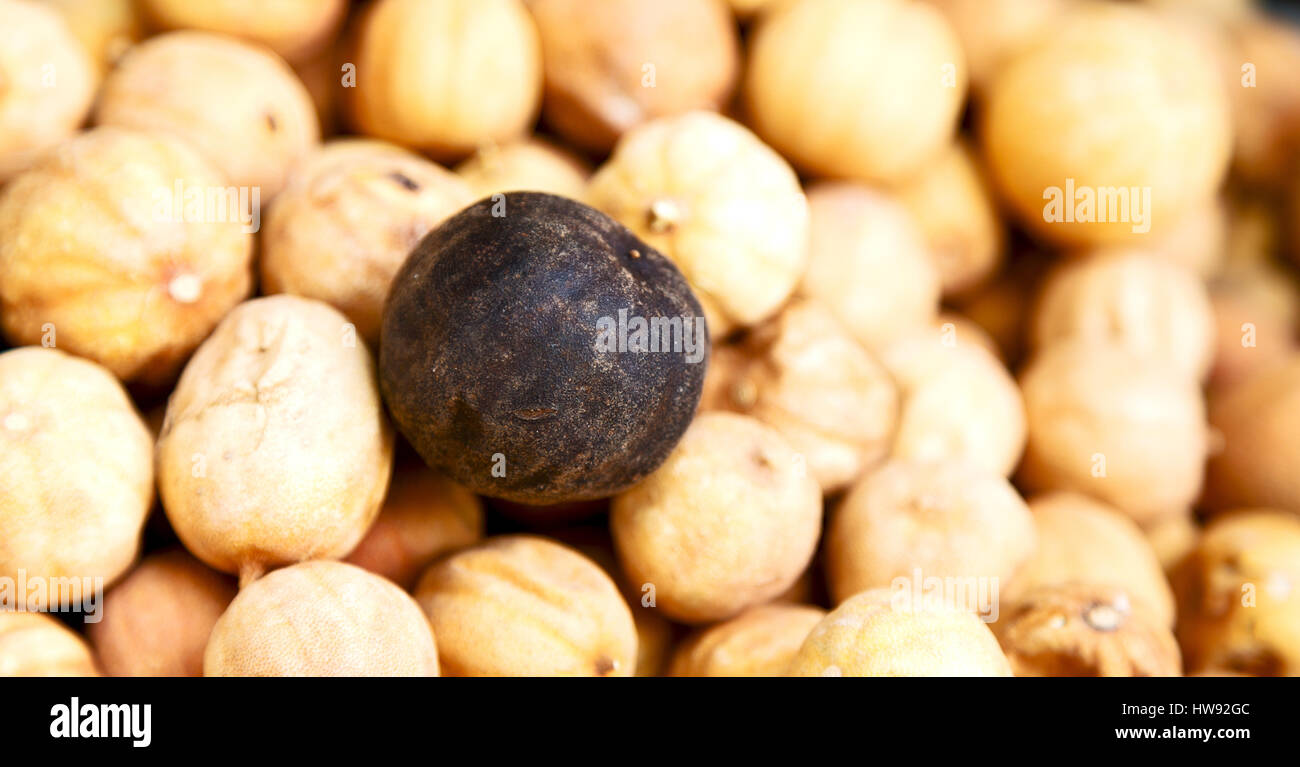 in iran blur typical dry lemon in abstract pattern background flavor ...