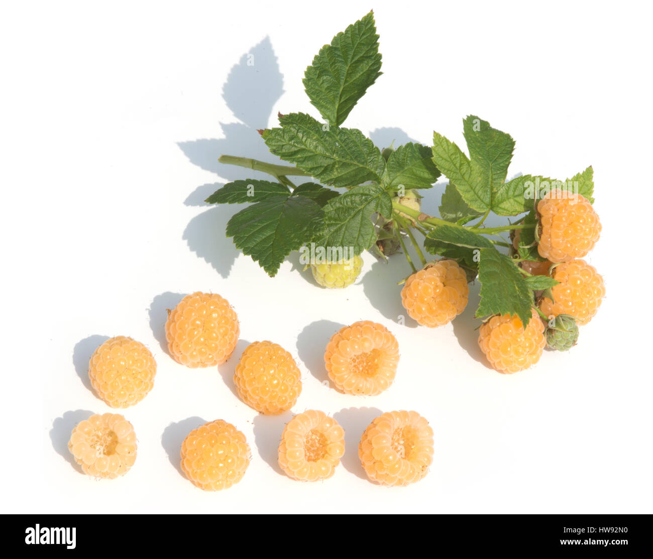 orange raspberry isolated on a white background Stock Photo - Alamy