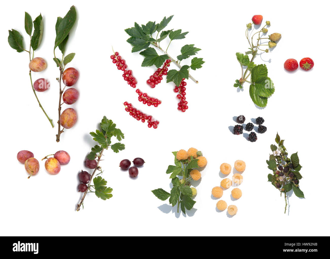 summer berry collection isolated on a white background Stock Photo - Alamy