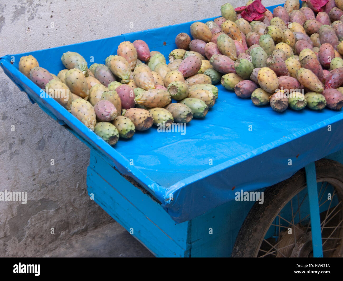 Cactus tunisia hi-res stock photography and images - Alamy