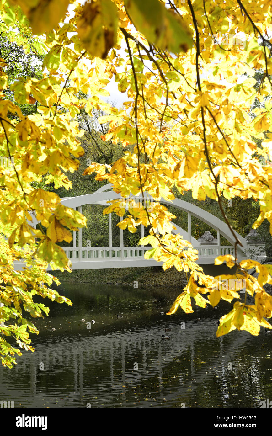 Swidnica, Polska, Poland, Silesia, dolny slask, architecture, travel ...