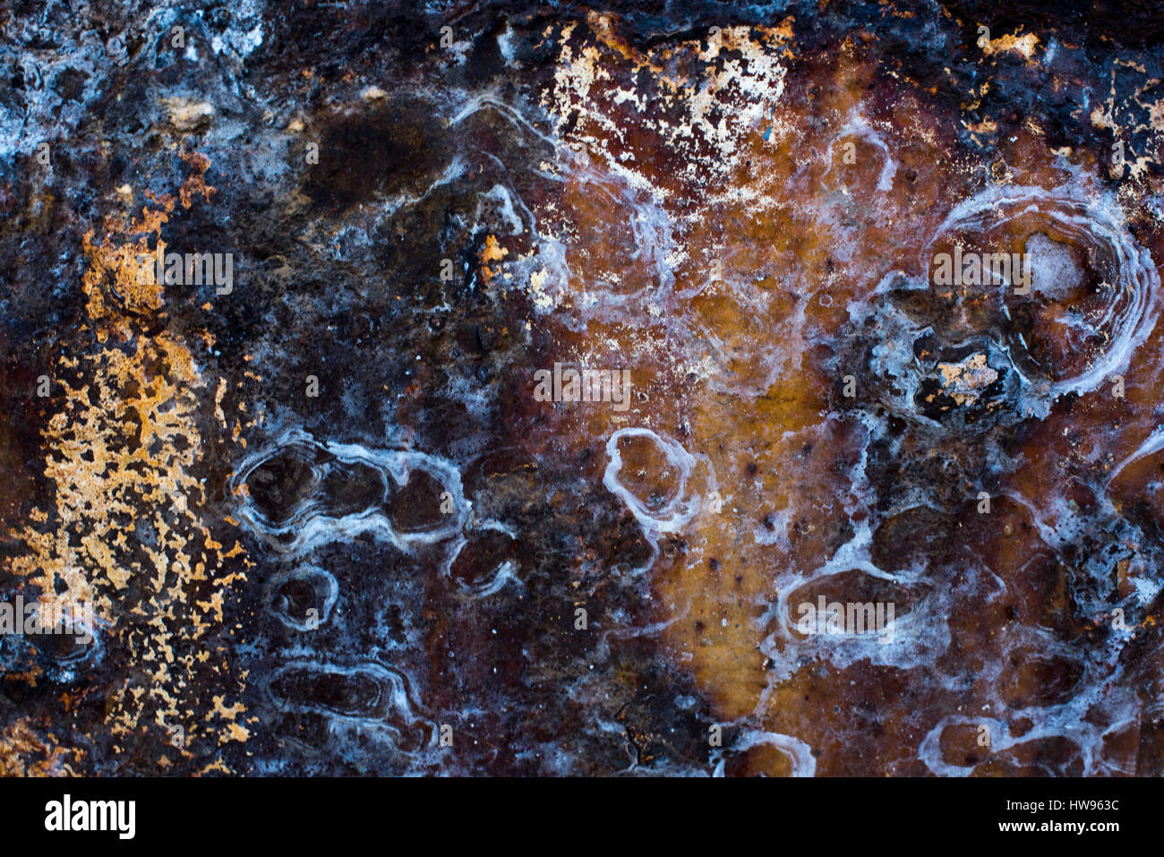 Zbrush art hi-res stock photography and images - Alamy