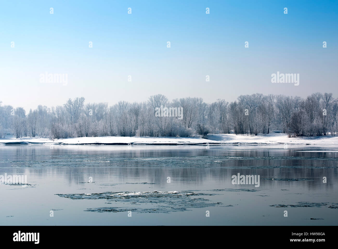 The frozen bank of the river with trees covered with hoarfrost ...