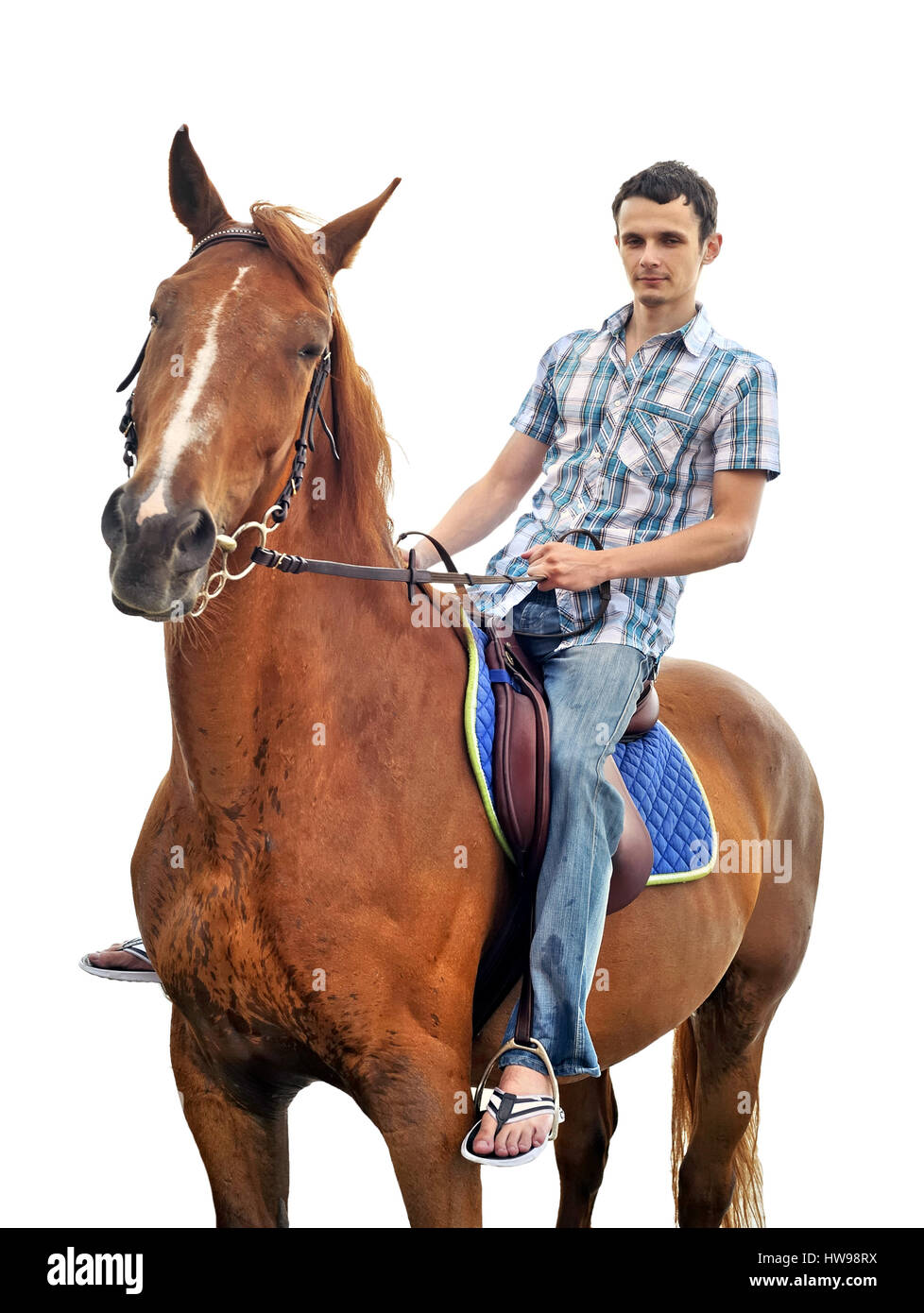 Man riding a horse isolated Stock Photo - Alamy