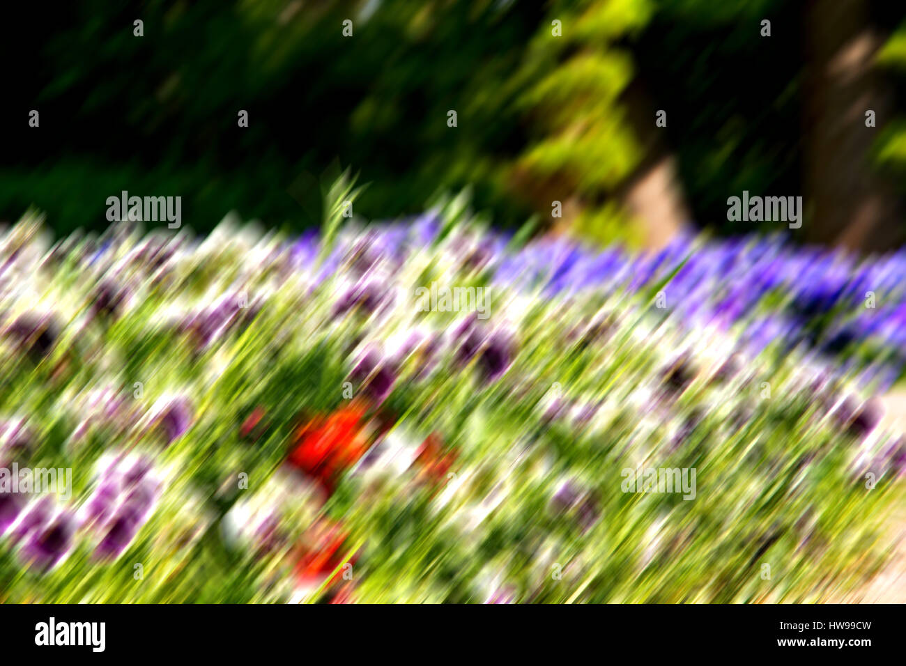 blur in the spring colors flowers and garden Stock Photo - Alamy