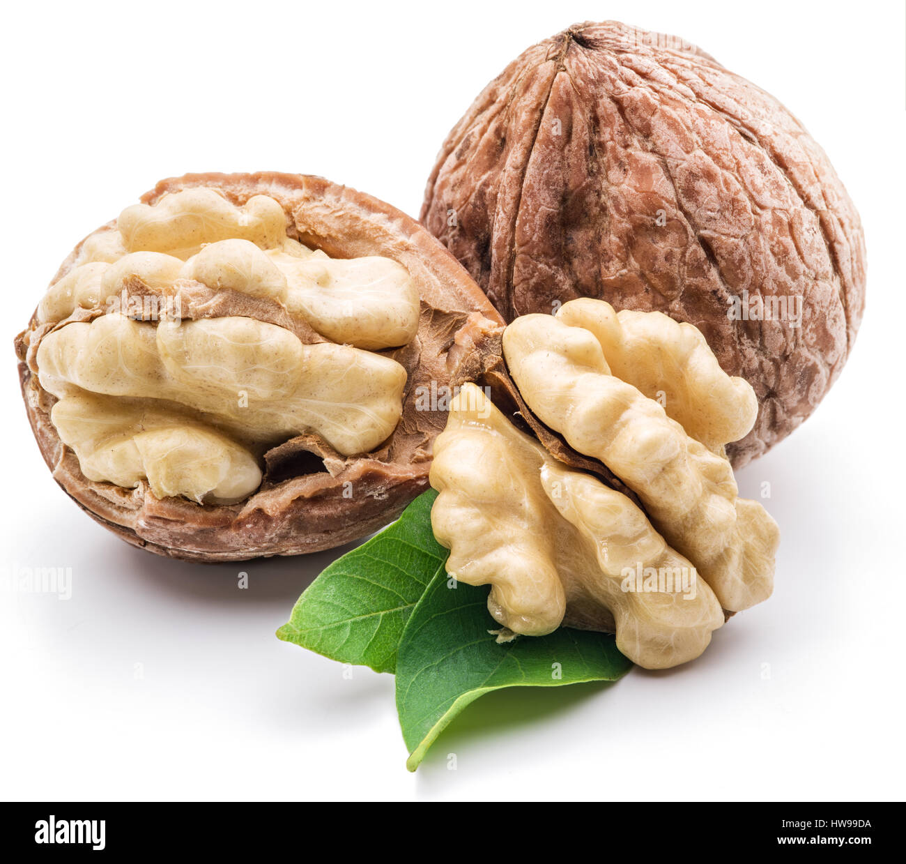 Walnut and walnut kernel isolated on the white background Stock Photo ...