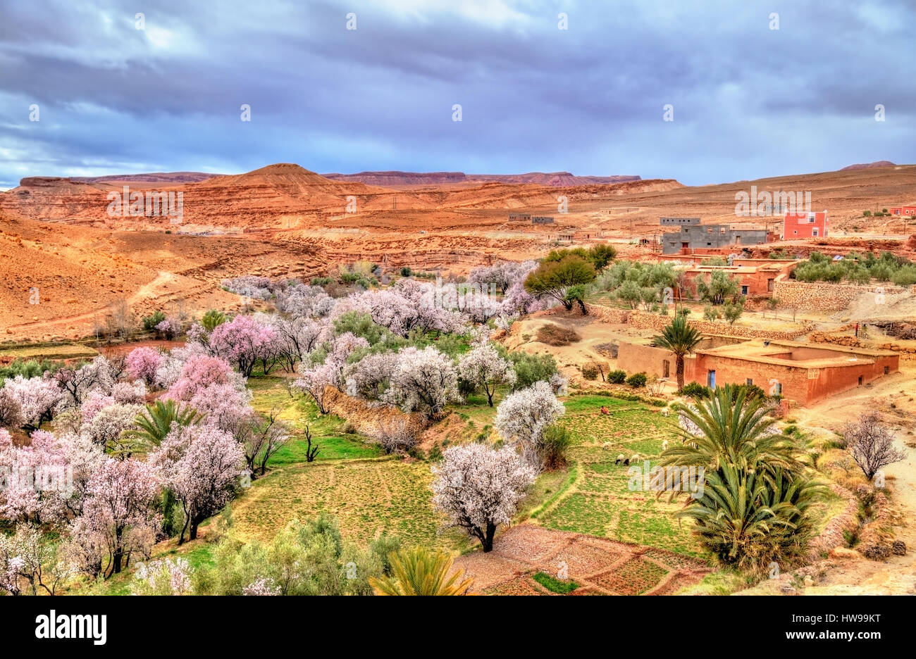 Landscape of the Asif Ounila valley in the High Atlas Mountains ...