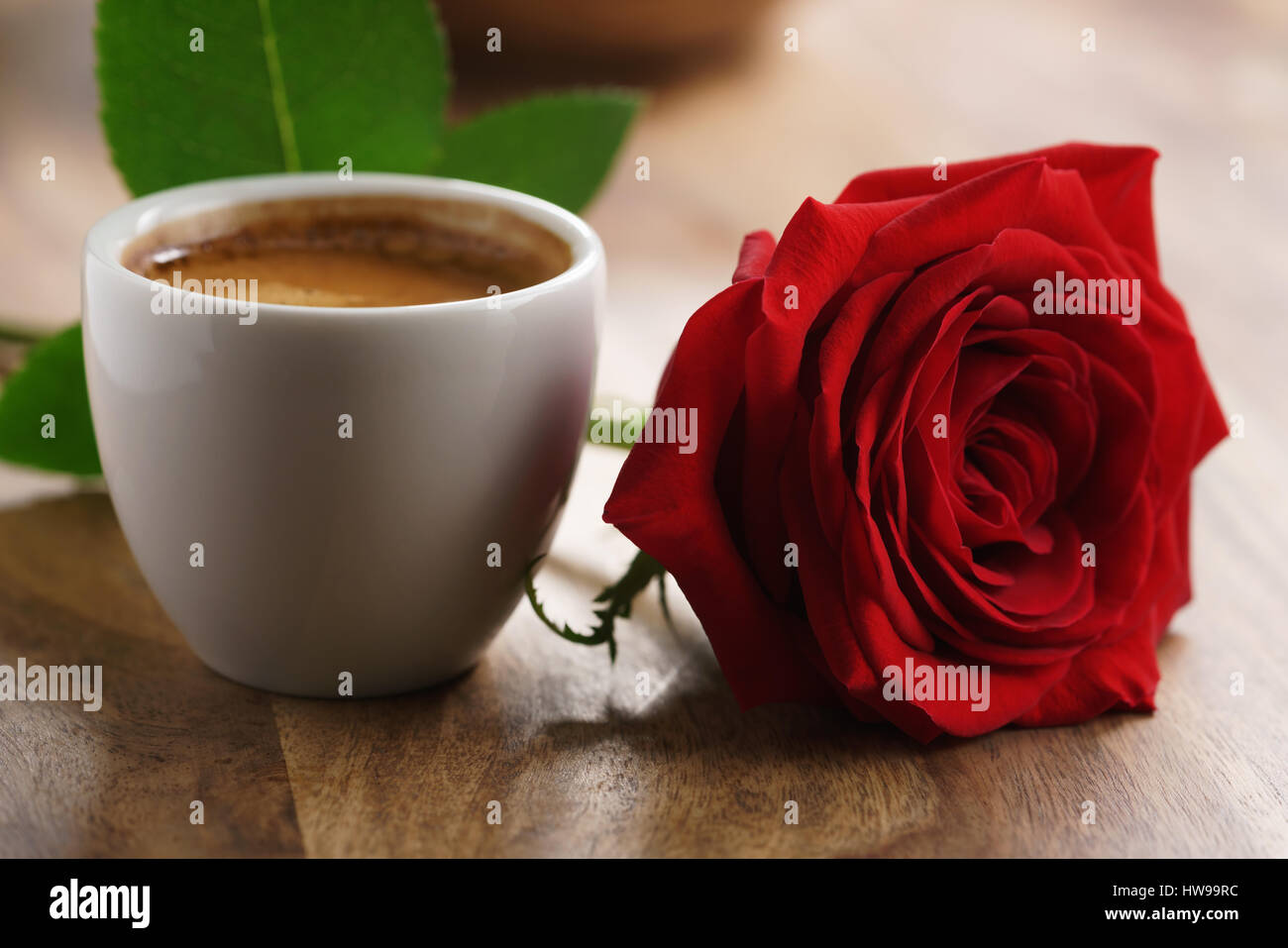 White rose cafe hi-res stock photography and images - Alamy