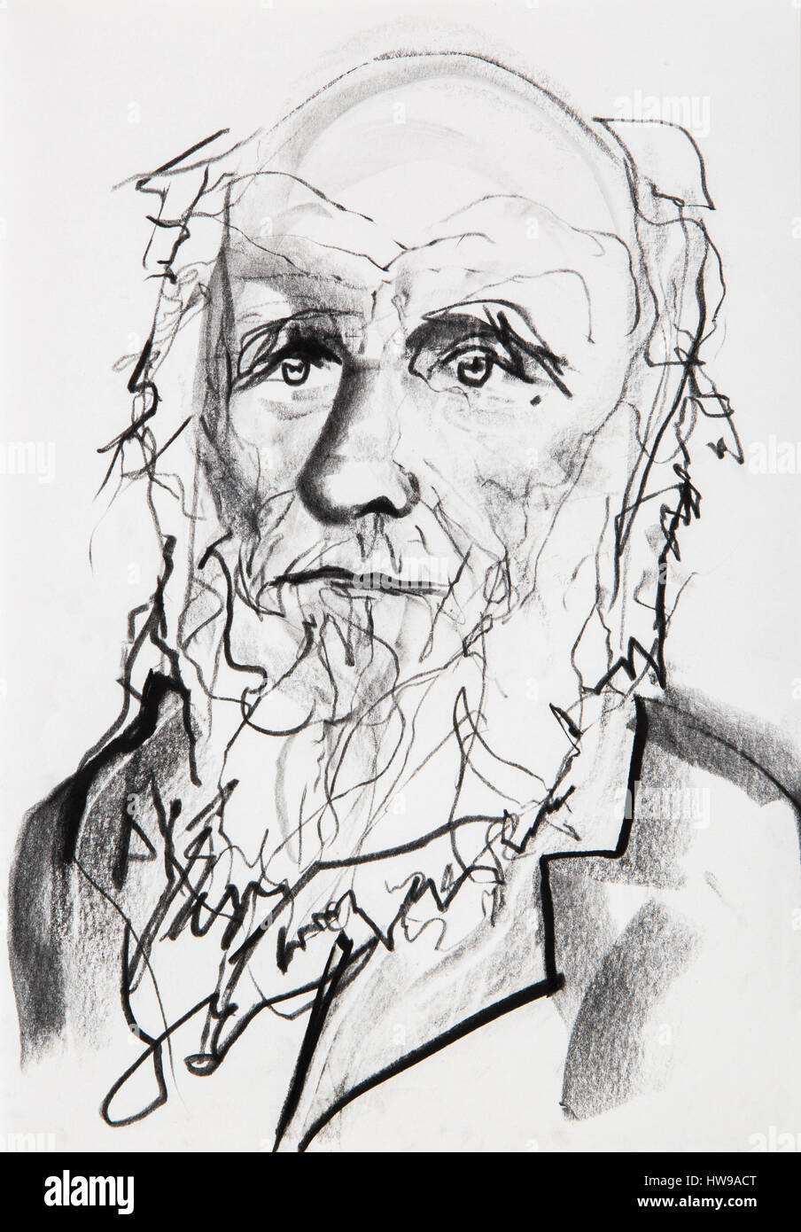 Portrait of Charles Darwin, 1878 - Portrait du naturaliste anglais ...