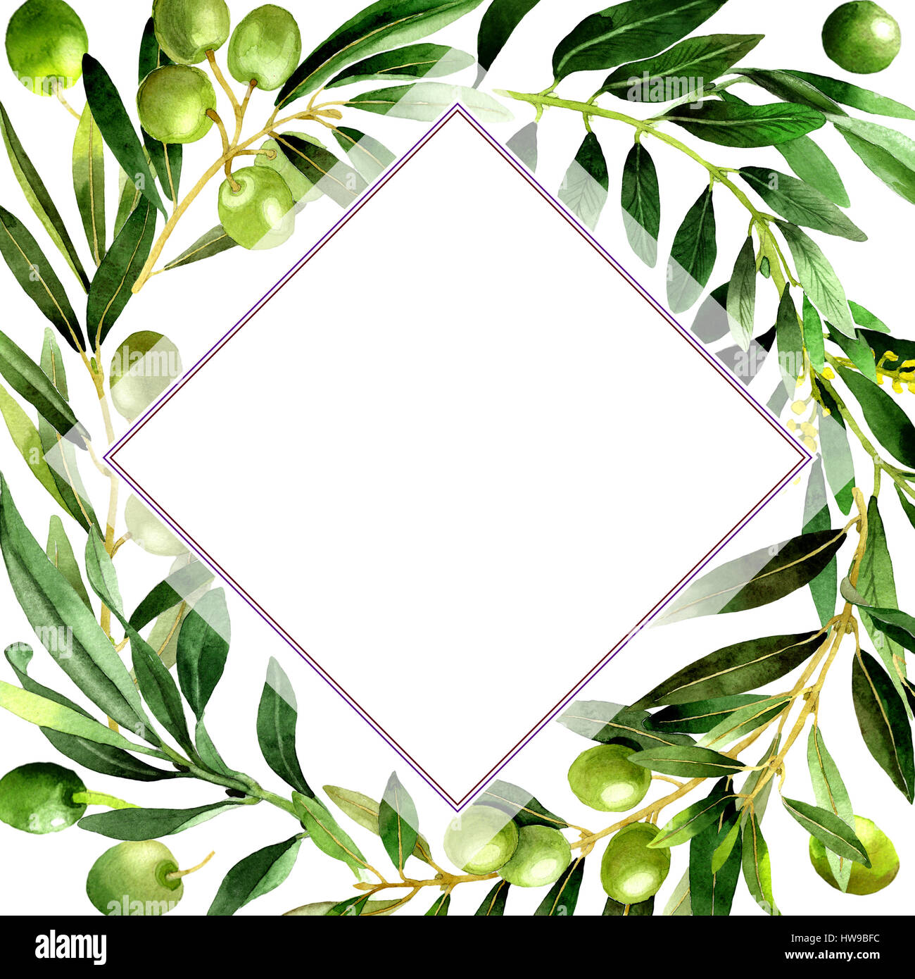 Olive tree frame in a watercolor style isolated Stock Photo - Alamy