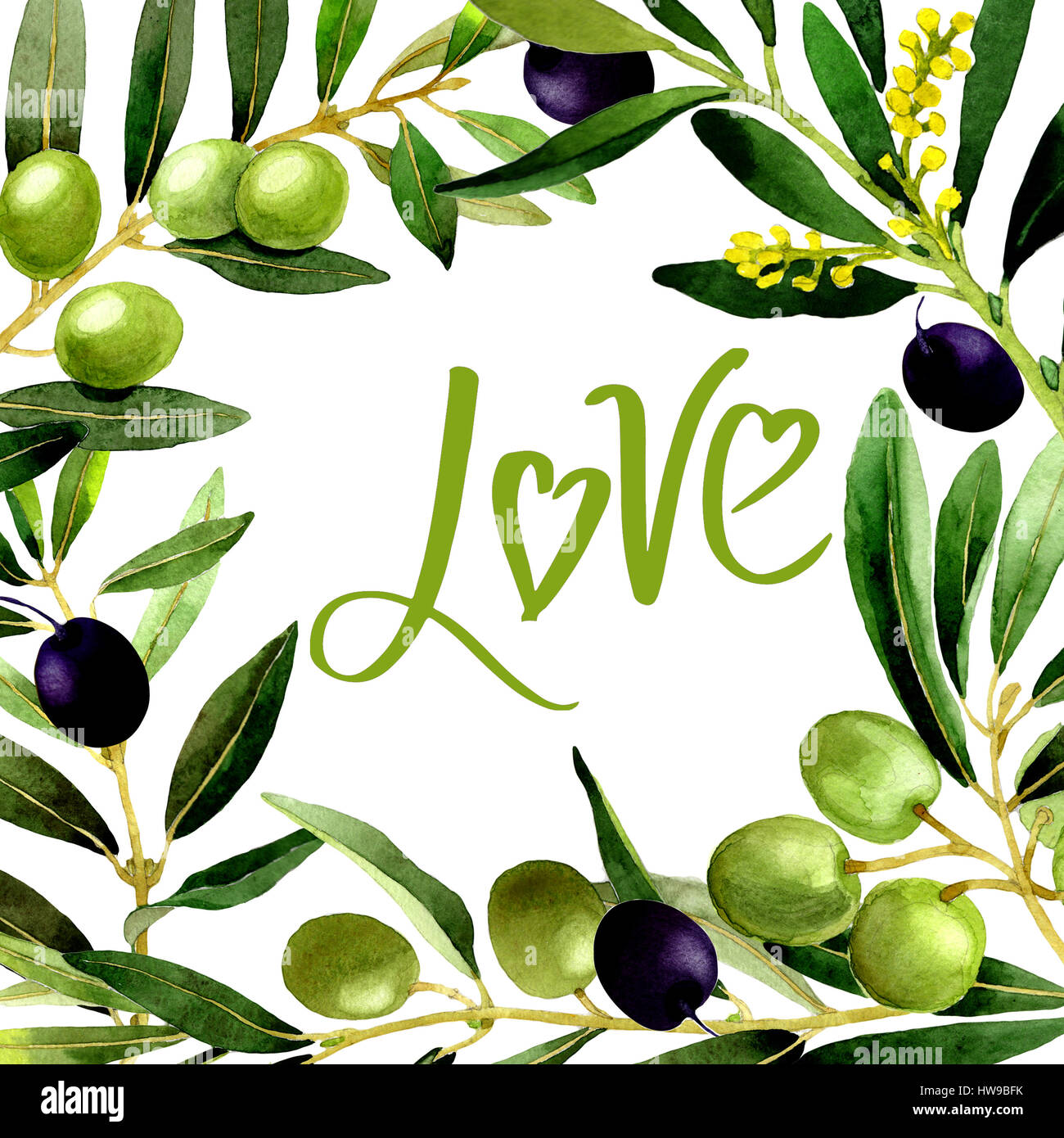 Olive tree frame in a watercolor style isolated Stock Photo - Alamy