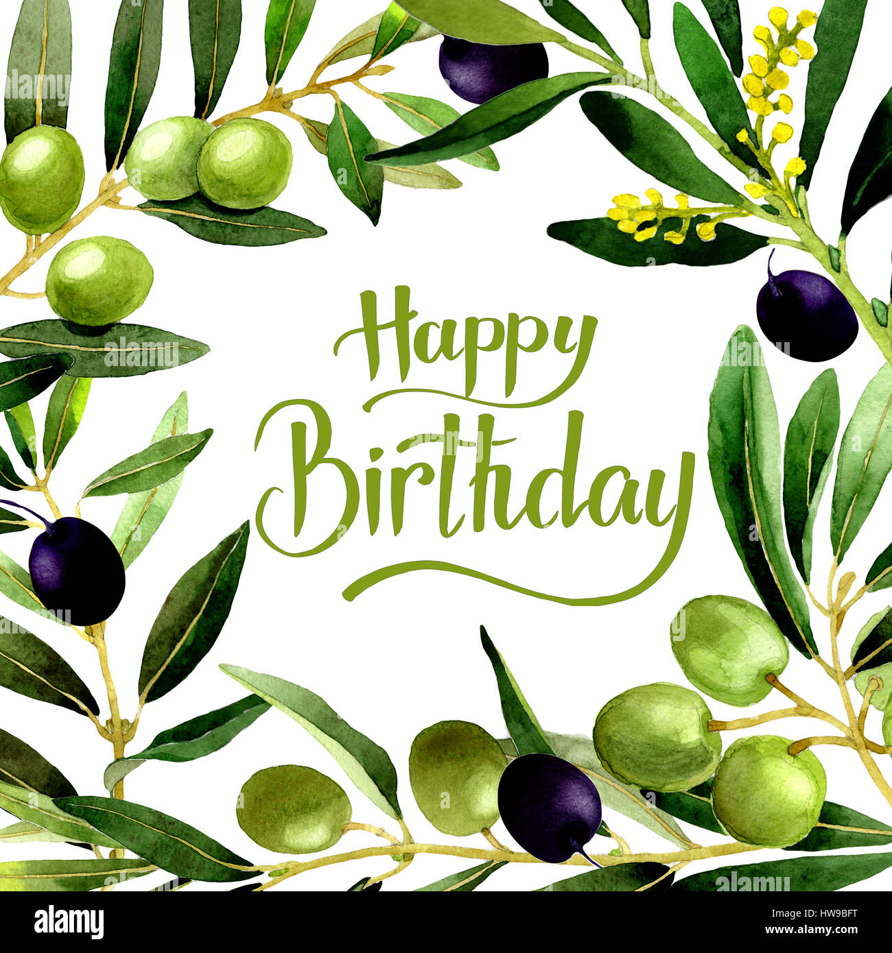 Olive tree frame in a watercolor style isolated Stock Photo - Alamy