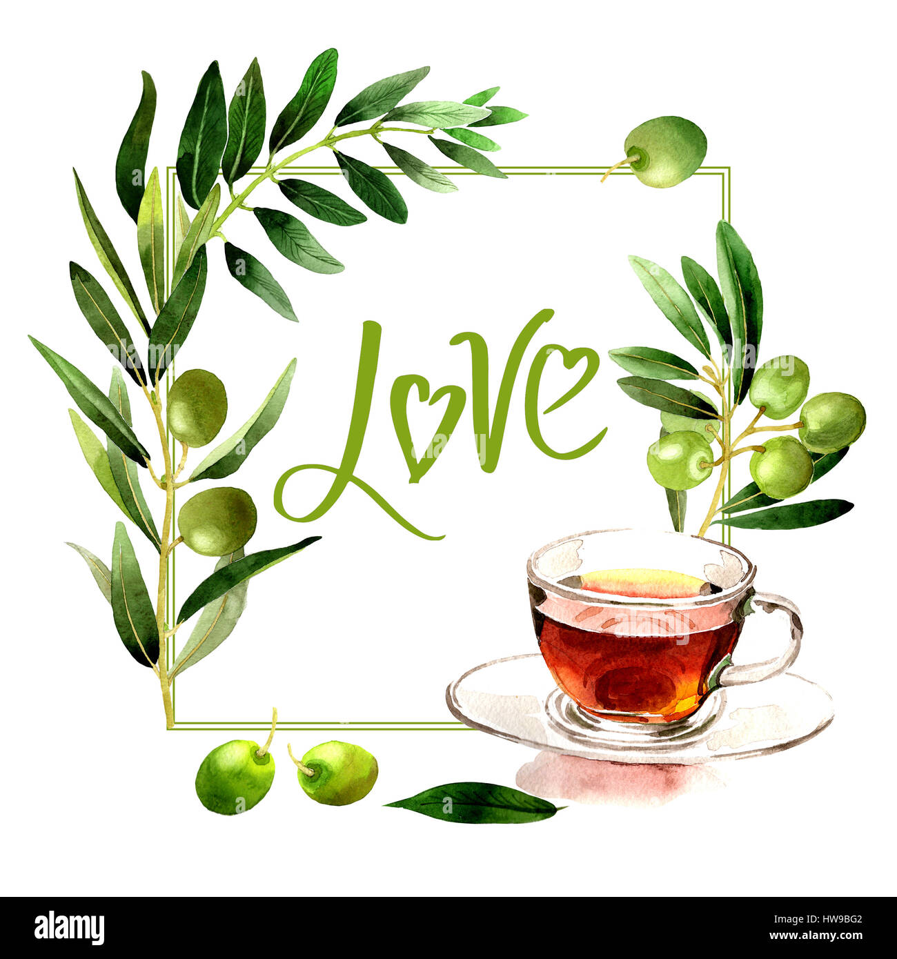 Olive tree frame in a watercolor style isolated Stock Photo - Alamy