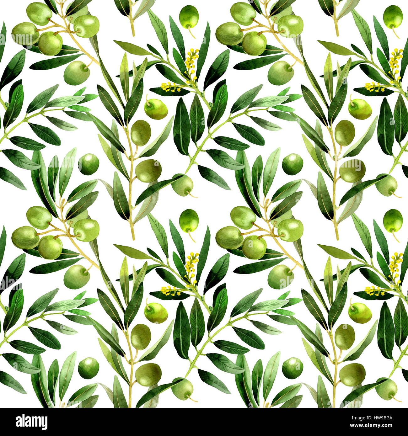 Olive tree pattern in a watercolor style isolated Stock Photo - Alamy