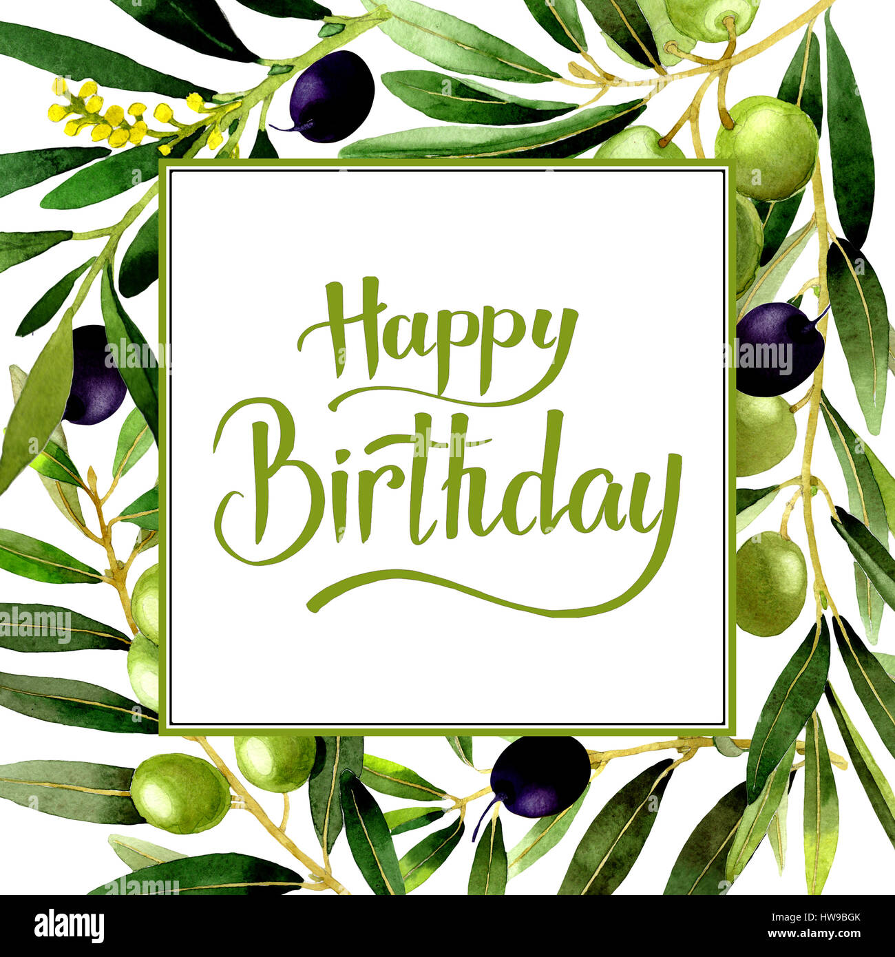 Olive tree frame in a watercolor style isolated Stock Photo - Alamy