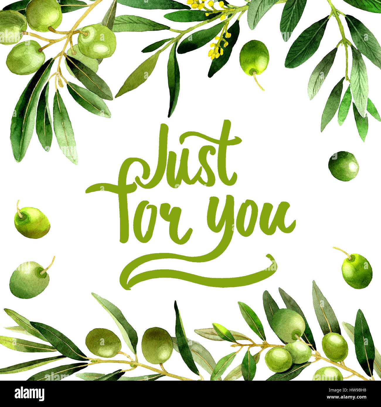 Olive tree frame in a watercolor style isolated Stock Photo - Alamy