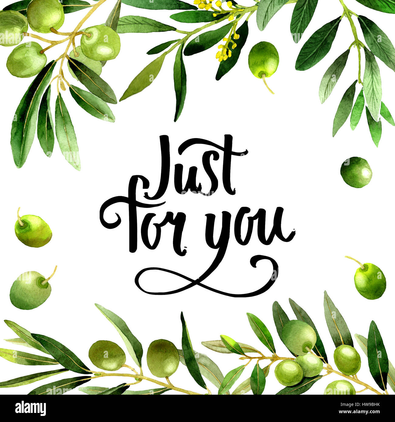 Olive tree frame in a watercolor style isolated Stock Photo - Alamy