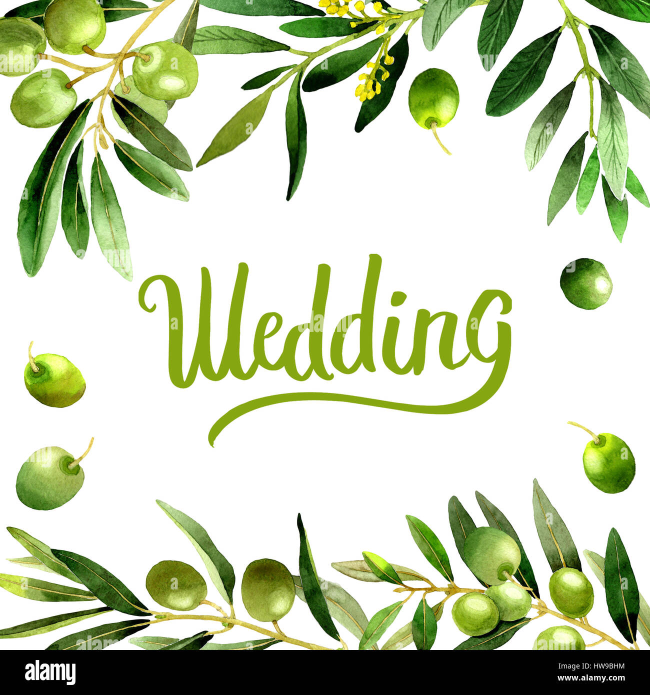 Olive tree frame in a watercolor style isolated Stock Photo - Alamy