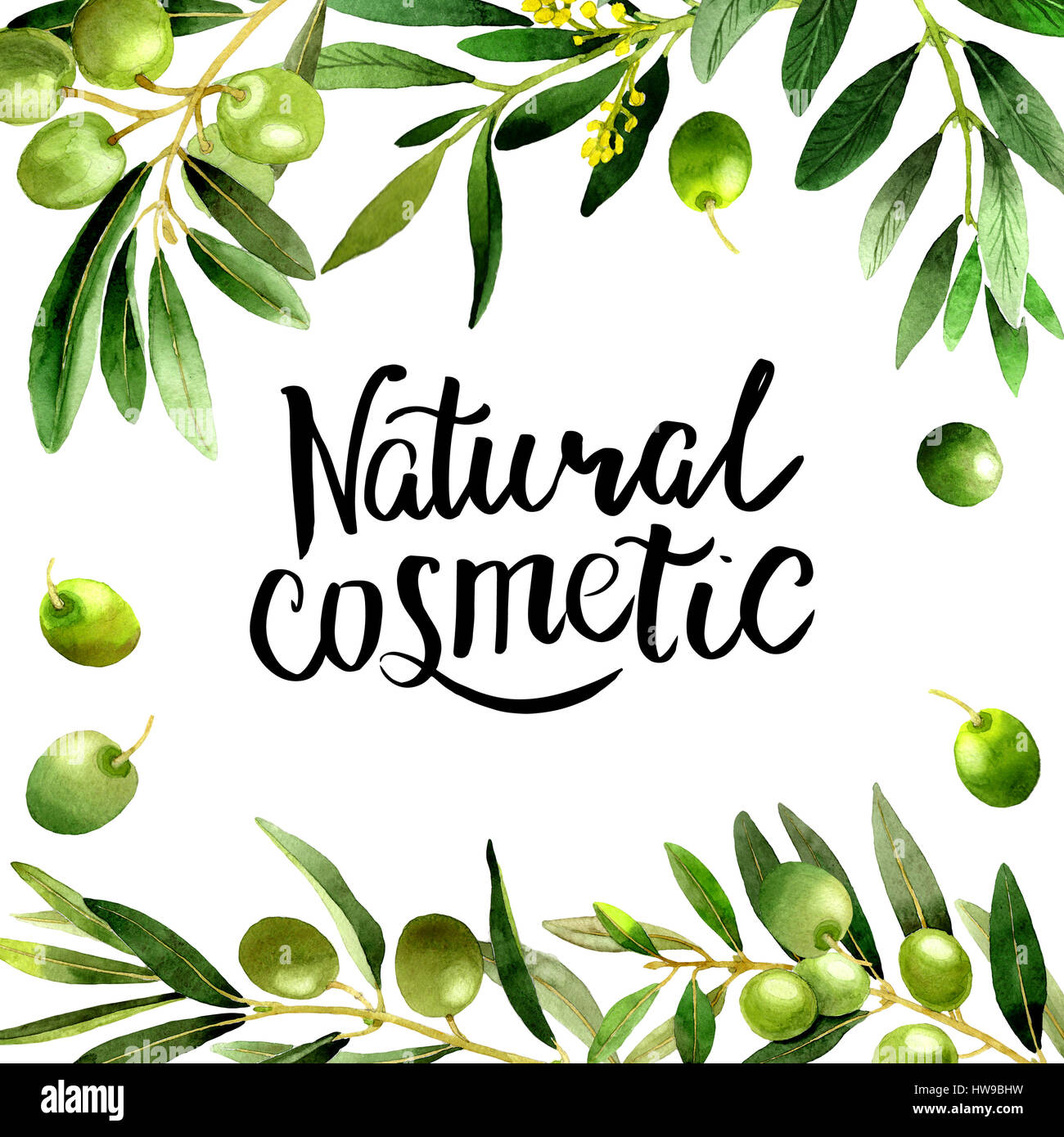 Olive tree frame in a watercolor style isolated Stock Photo - Alamy