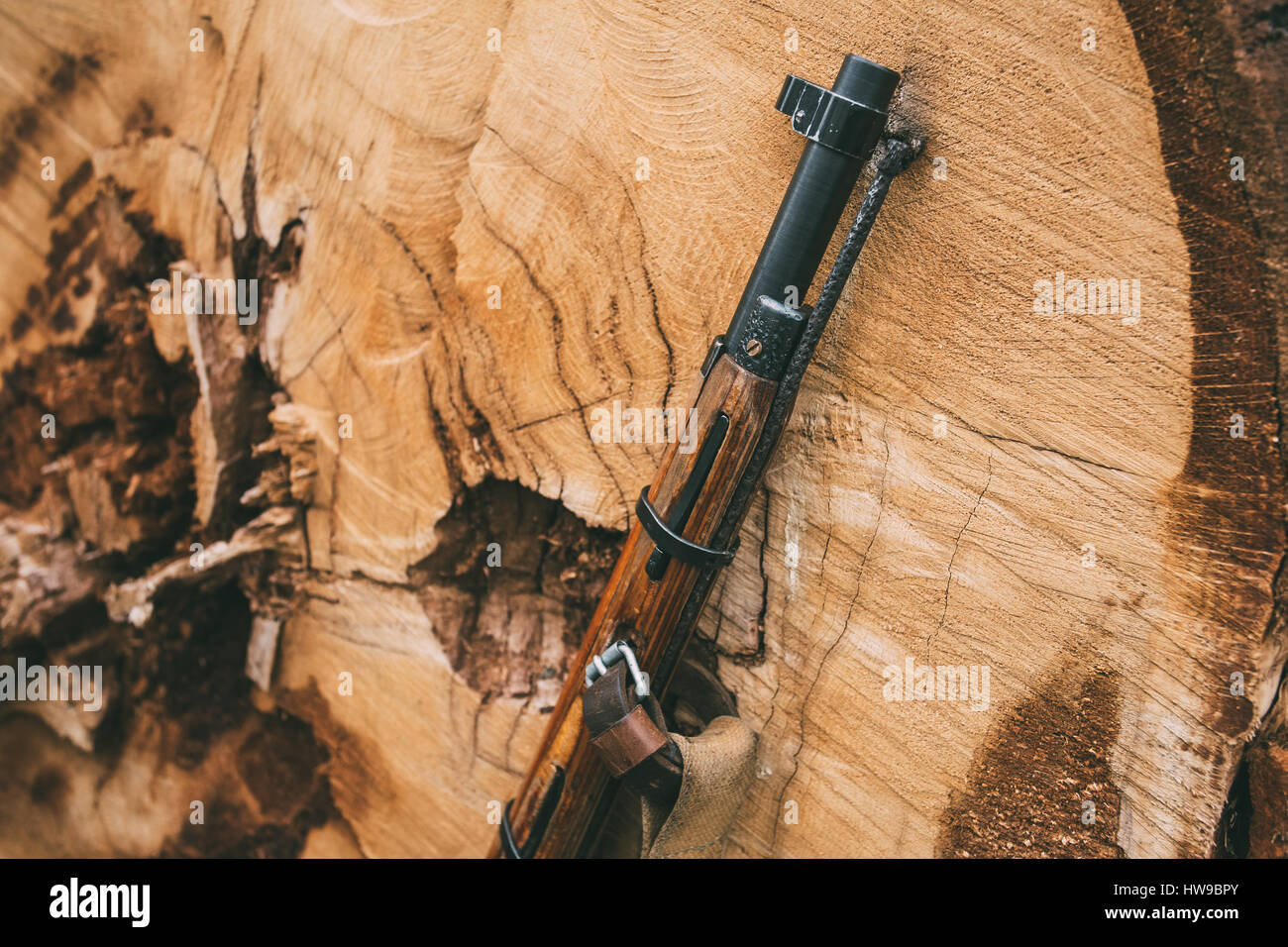 Old soviet russian rifle of World War II leaning against trunk of tree ...