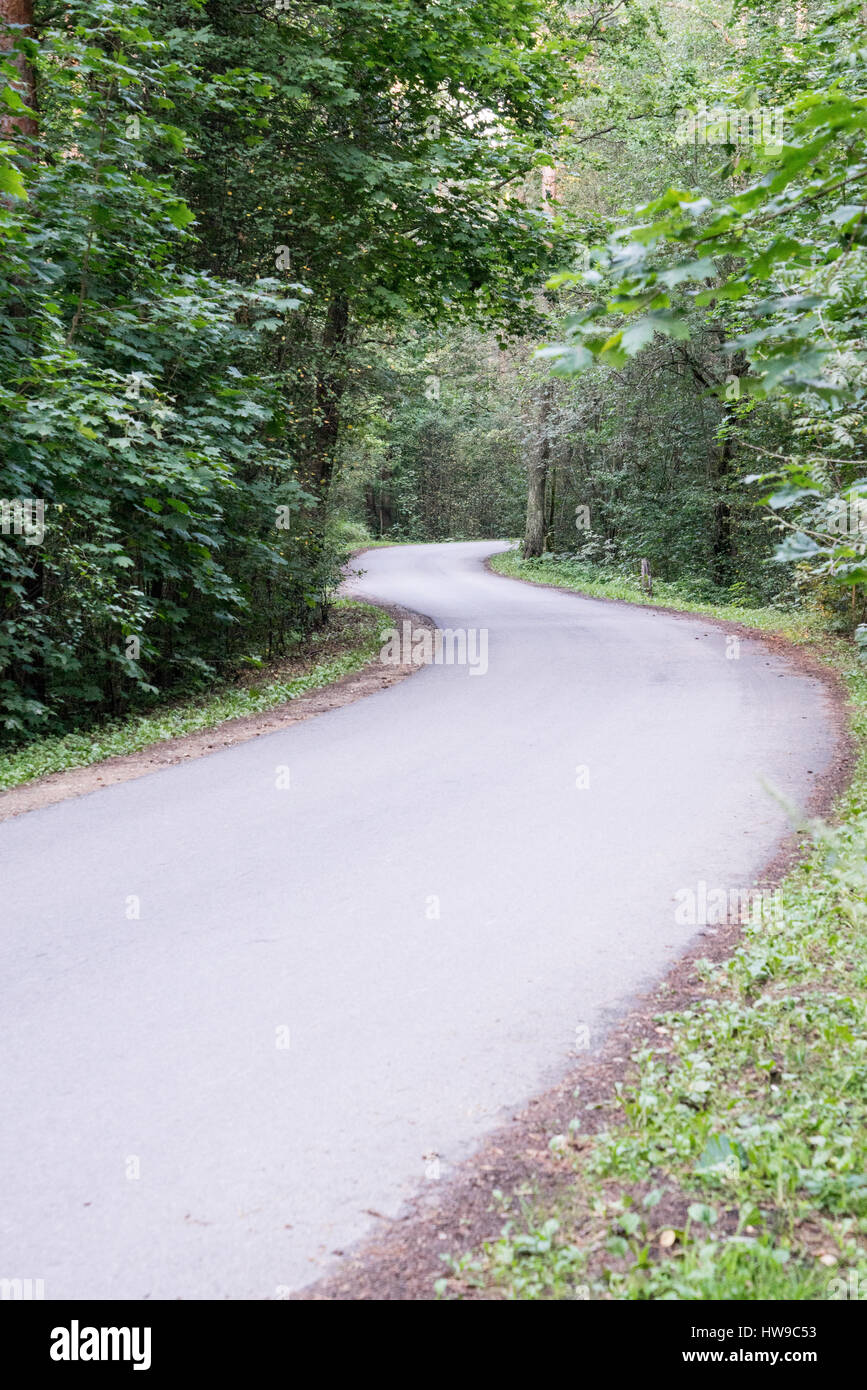slightly lit road in the forest Stock Photo - Alamy