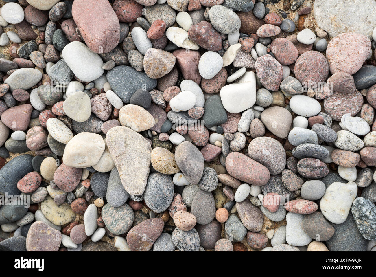 small pebble rock background texture at the beach Stock Photo - Alamy
