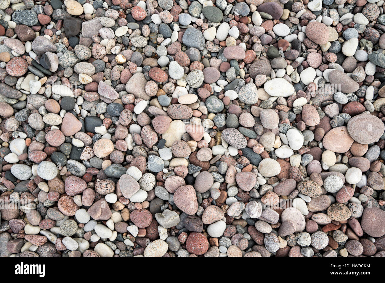 small pebble rock background texture at the beach Stock Photo - Alamy