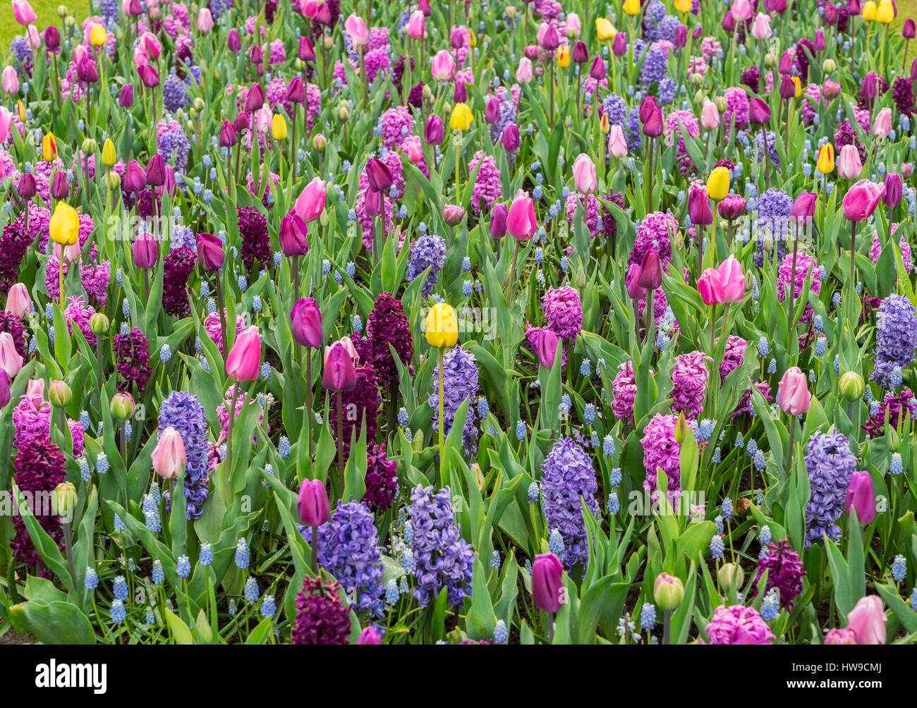 Formal spring garden Stock Photo - Alamy