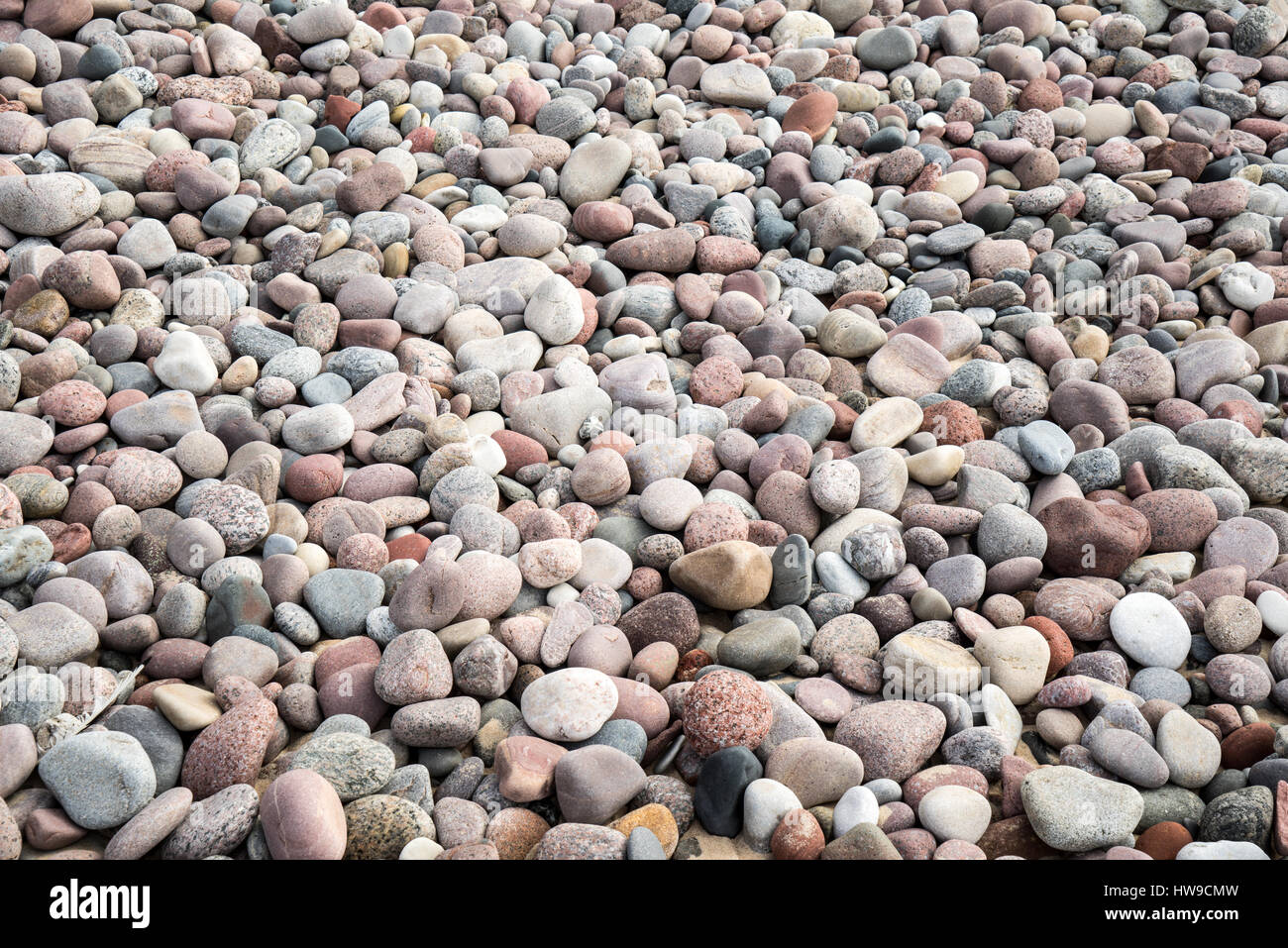 small pebble rock background texture at the beach Stock Photo - Alamy