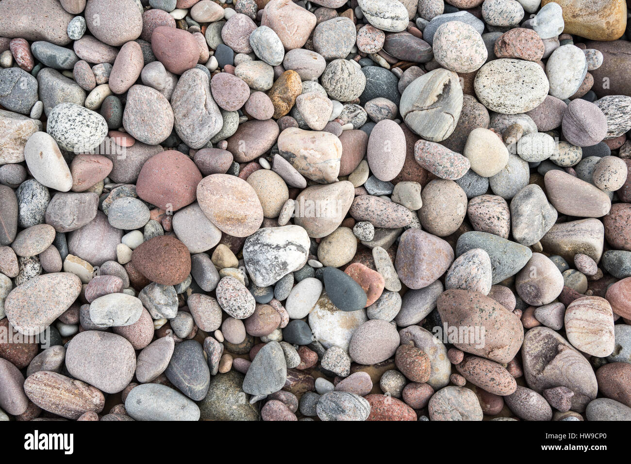 small pebble rock background texture at the beach Stock Photo - Alamy