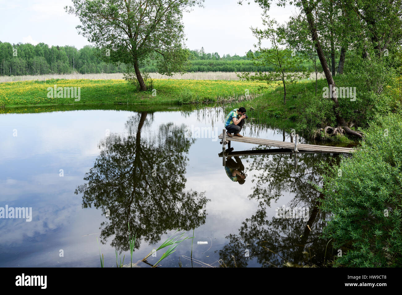 sunny summer countryside scene with old housing and flowers Stock Photo ...