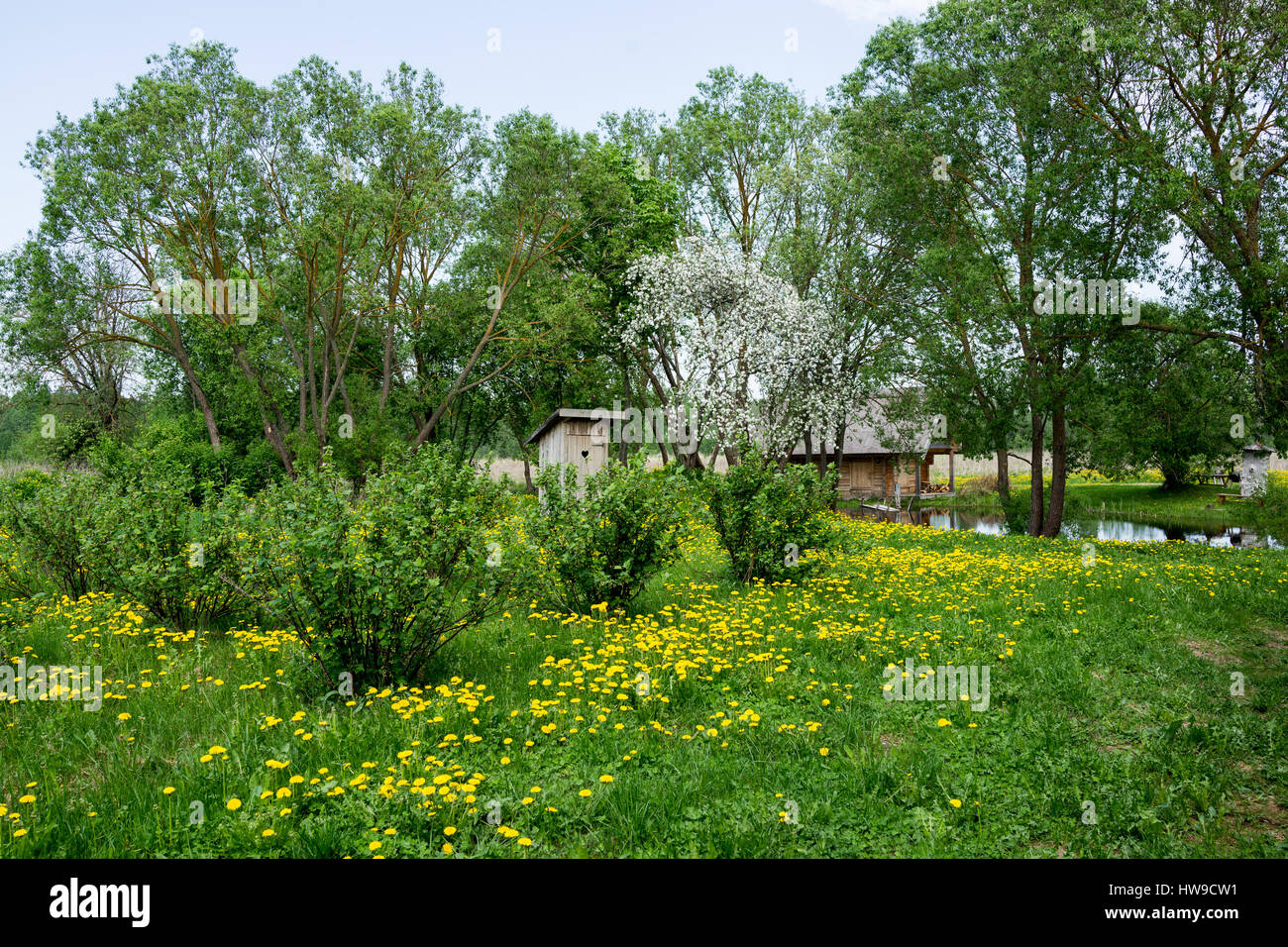 sunny summer countryside scene with old housing and flowers Stock Photo ...
