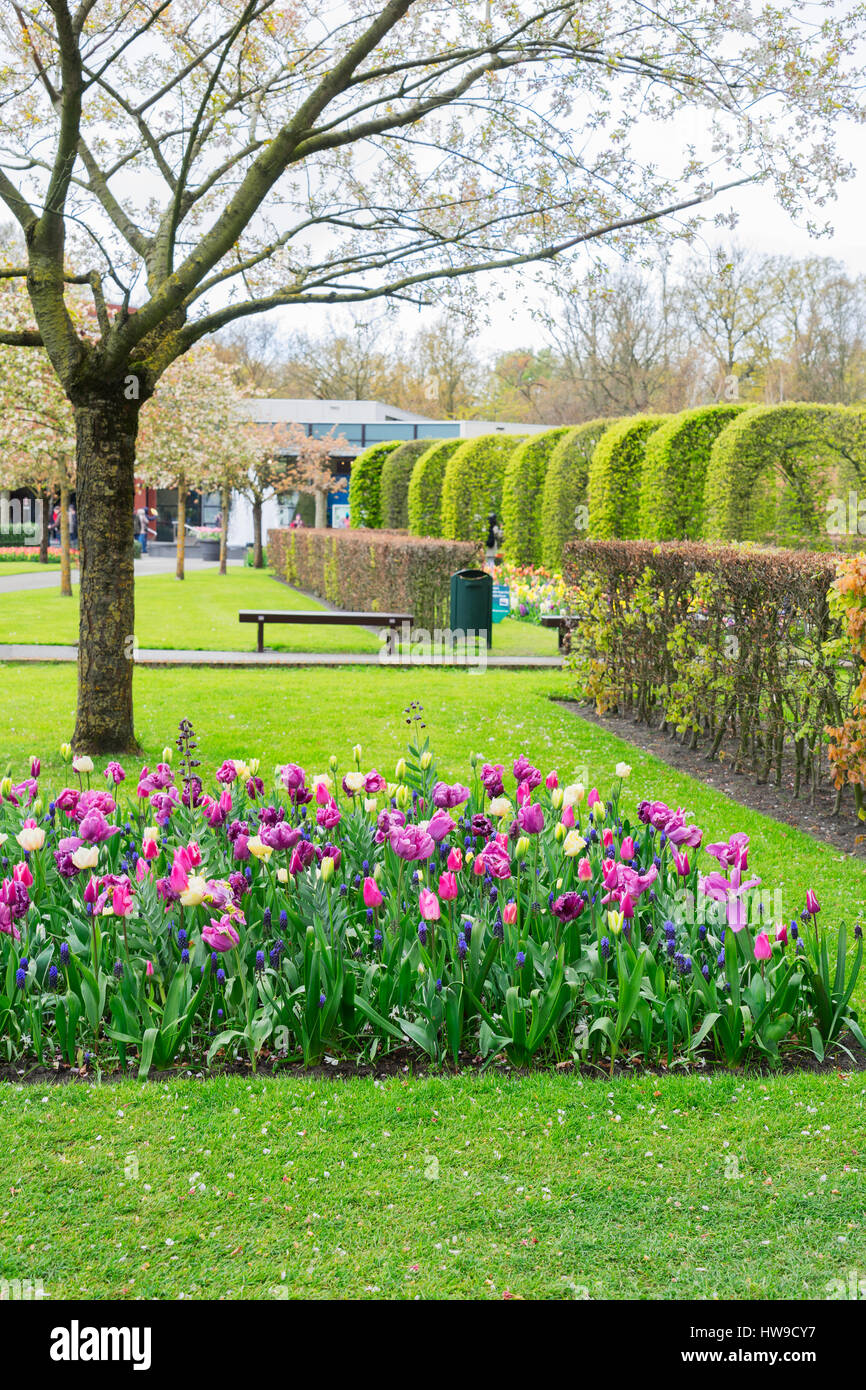 Formal spring garden Stock Photo - Alamy