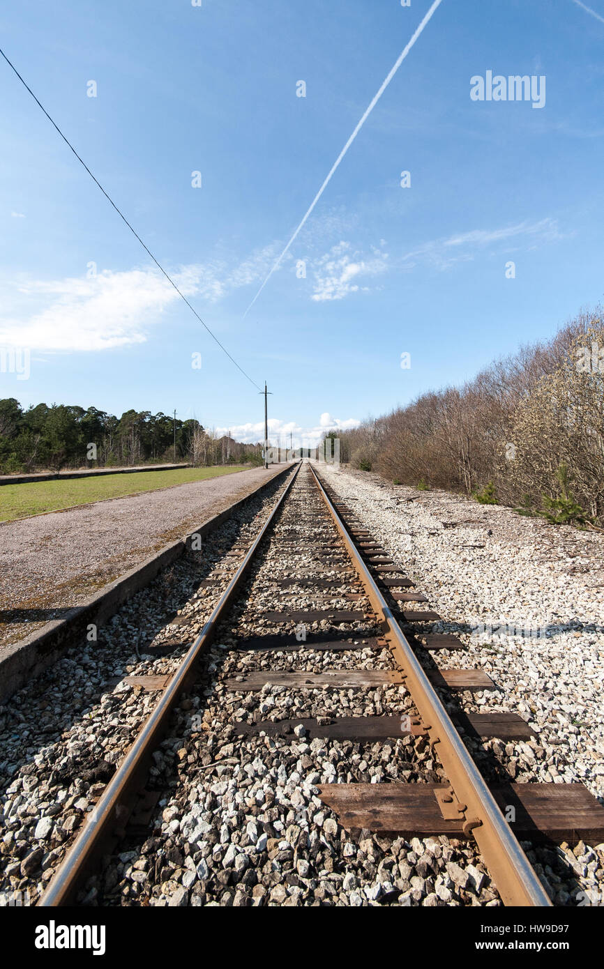 country railroad in forest Stock Photo - Alamy
