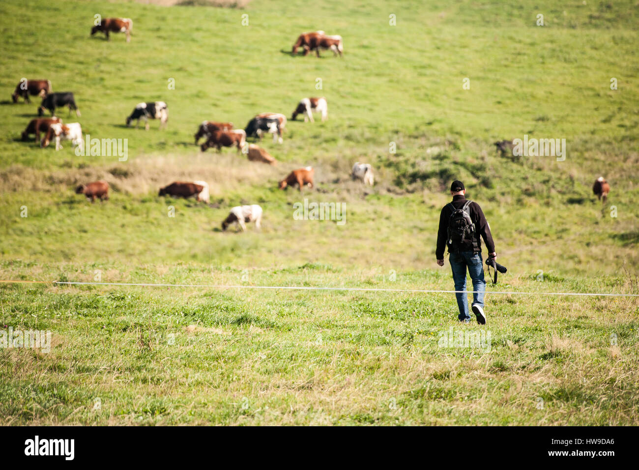 photographer working in the field with tripod Stock Photo - Alamy