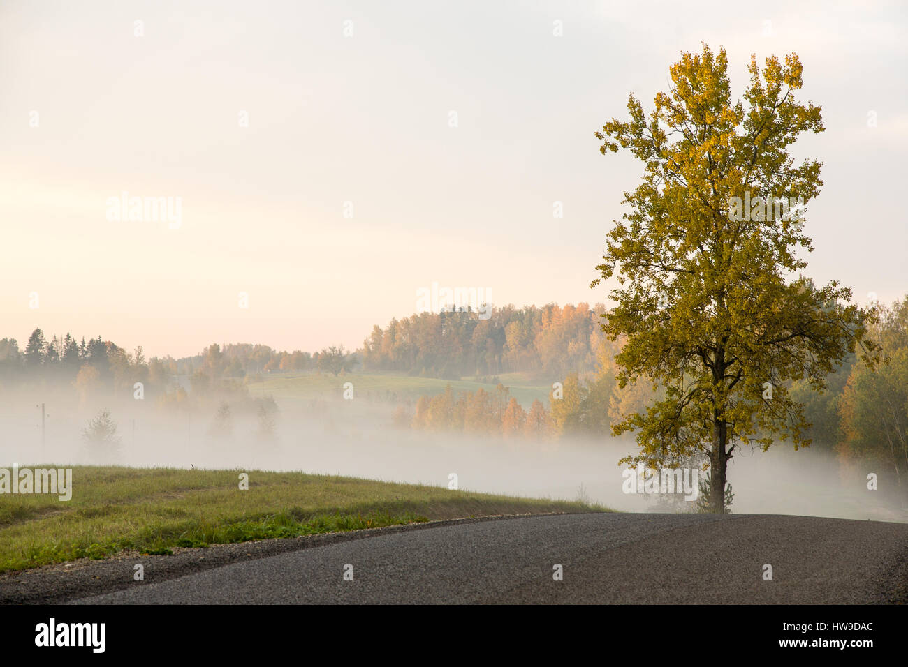 misty road in the morning Stock Photo - Alamy