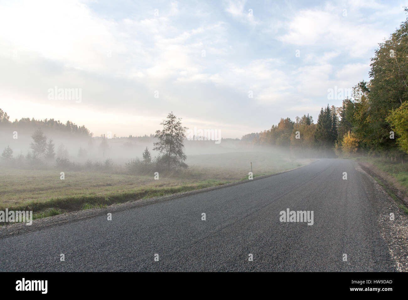 misty road in the morning Stock Photo - Alamy