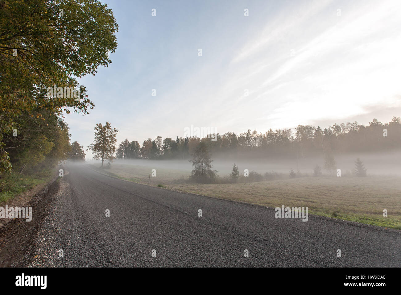 misty road in the morning Stock Photo - Alamy