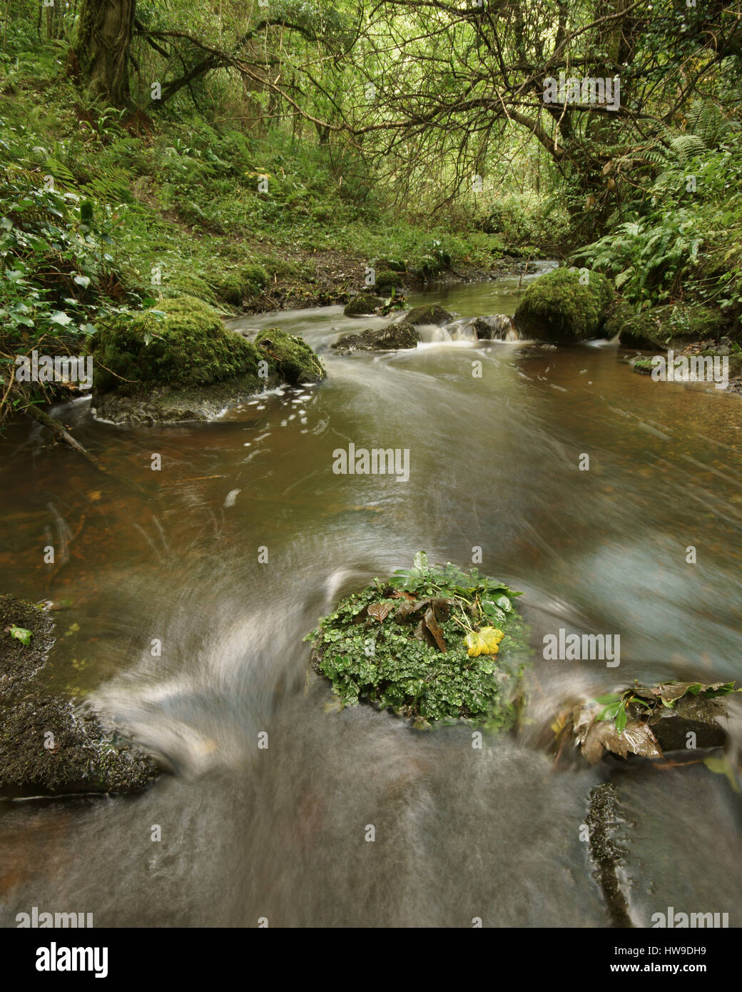 Stream access hi-res stock photography and images - Alamy
