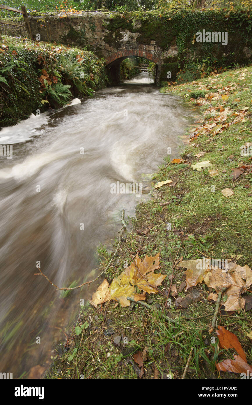 Stream access hi-res stock photography and images - Alamy