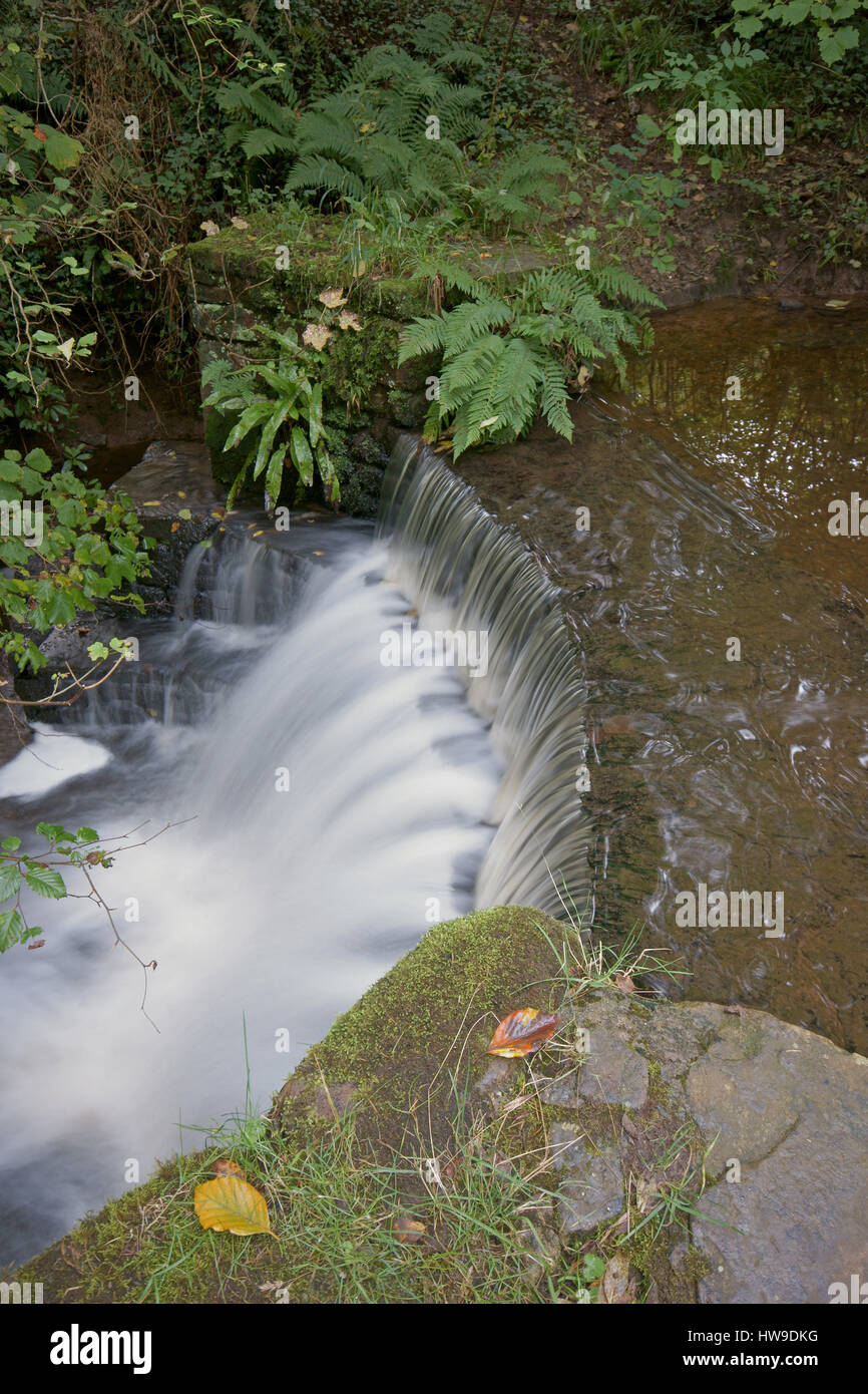 Mill wood weir Stock Photo - Alamy