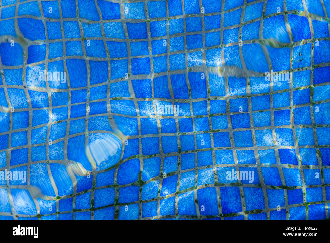 beautiful cool water in swimming pool Stock Photo - Alamy