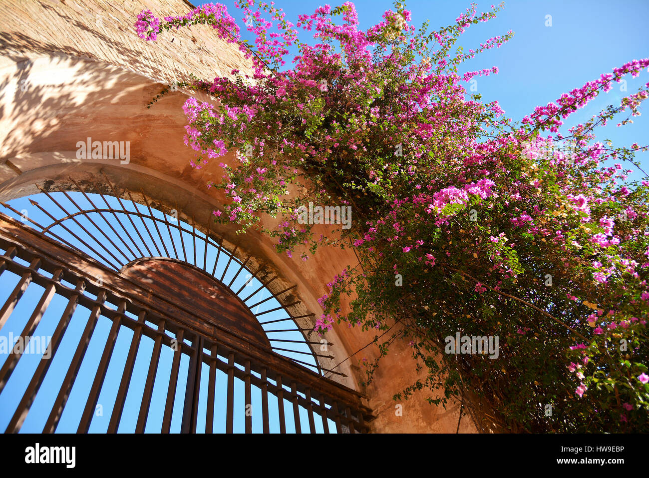 Colorful detail with beautiful pink flowers and ancient gate in El Puig ...