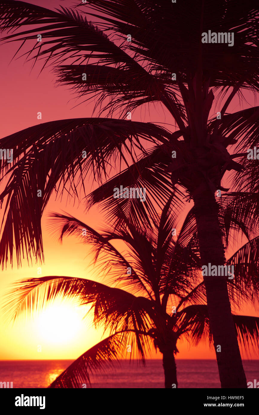 Sunset on caribbean tropical island hi-res stock photography and images ...