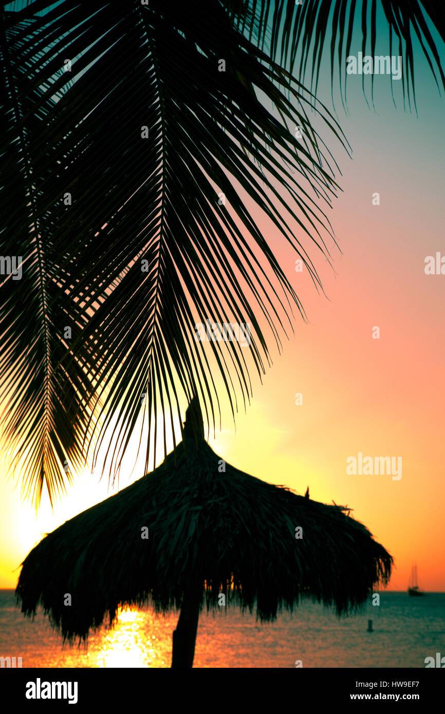 Tropical sunset scene Stock Photo - Alamy