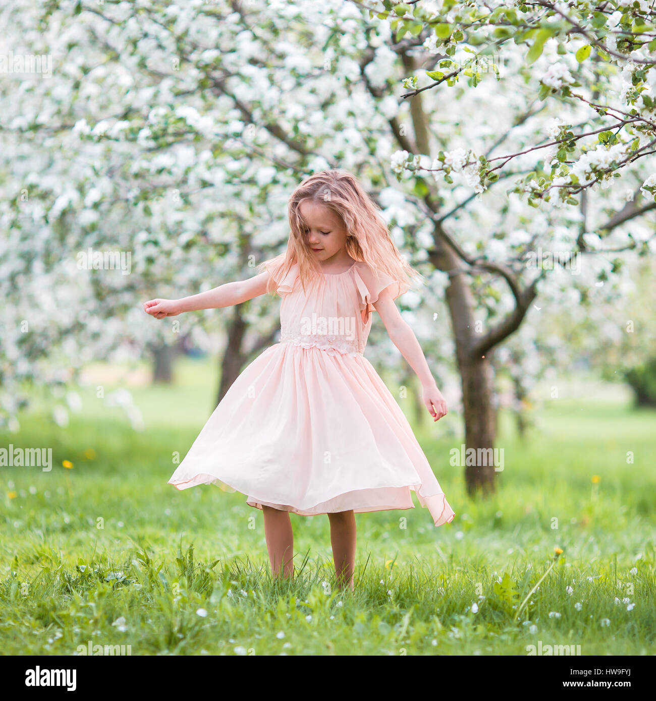 Adorable little girl in blooming apple garden on beautiful spring day Stock Photo - Alamy