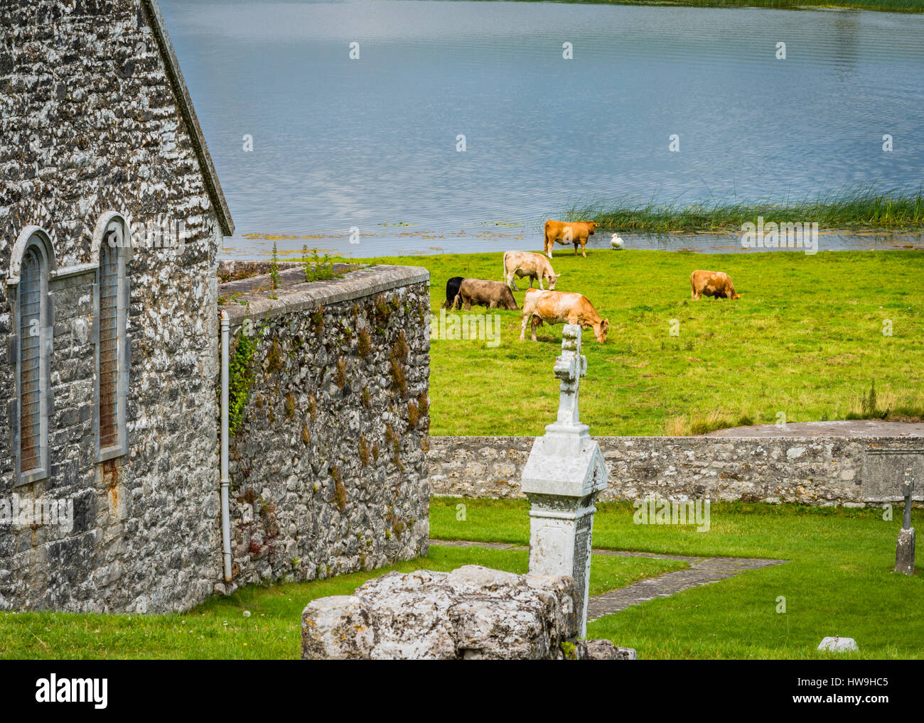 Ireland clonmacnoise cemetery hi-res stock photography and images - Alamy