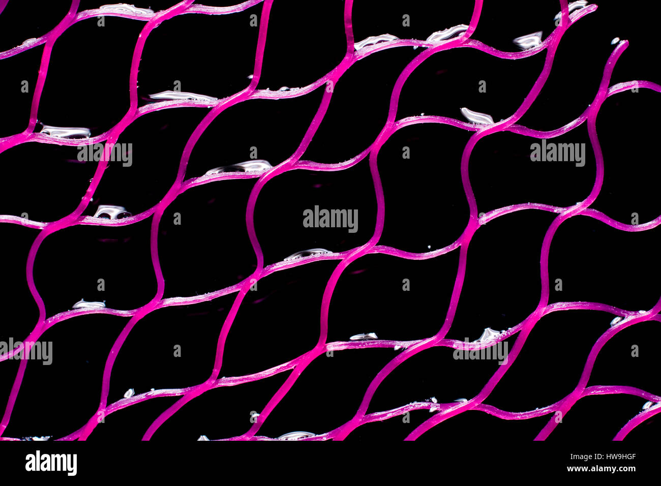 Pink polyester mesh bath sponge Stock Photo - Alamy